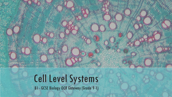 B1 & B2 Powerpoint: GCSE Biology OCR Gateway (Grade 9-1) | Teaching ...