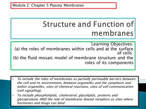 ***NEW SPEC - A level Biology*** - Plasma membranes | Teaching Resources