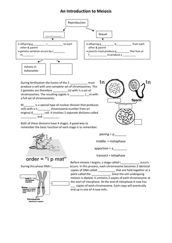 NEW SPEC - OCR A level Biology - Module 2 - chapter 6 - cell division ...