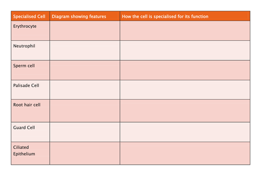 NEW SPEC - OCR A level Biology - Module 2 - chapter 6 - cell division ...
