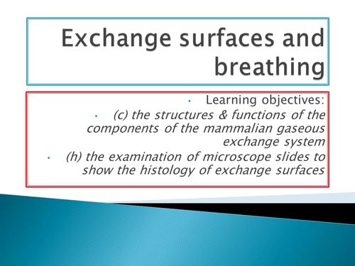 NEW SPEC A level Biology - Exchange surfaces lungs | Teaching Resources