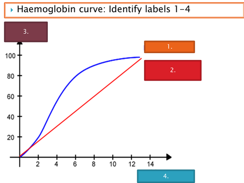 NEW SPEC - A level biology - OCR - Module 3 - chapter 8 - transport in ...