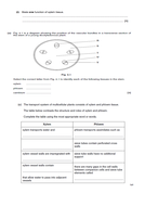 NEW SPEC - A level biology - OCR - Module 3 - Chapter 9 - Transport in ...