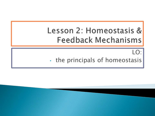 *Communication & Homeostasis bundle* | Teaching Resources *Communication & Homeostasis bundle* | Teaching Resources