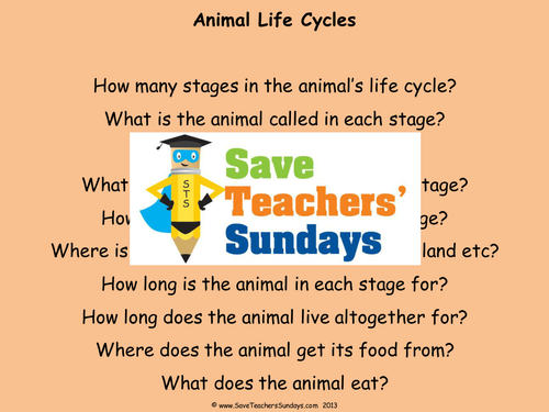 Year 2 Explanation Texts Planning and Resources (Life Cycles ...