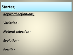 KS3 Evolution | Teaching Resources