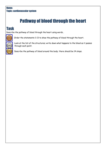 Pathway of blood through the heart activity. | Teaching Resources