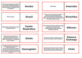 Edexcel 9-1 GCSE PE - The Respiratory System - Full Key Words Of Topic ...