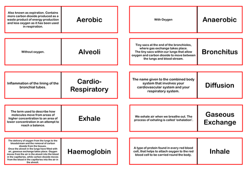 Edexcel 9-1 GCSE PE - The Respiratory System - Full Key Words Of Topic ...