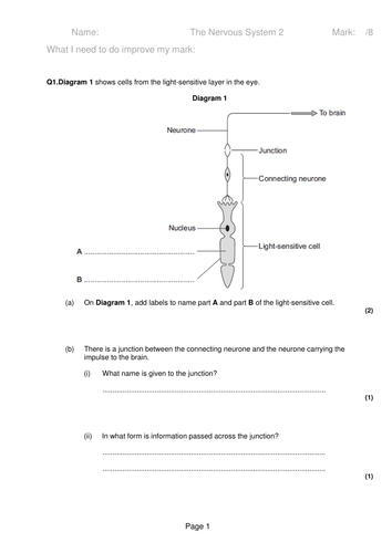 The Nervous System - New AQA Biology GCSE | Teaching Resources The Nervous System - New AQA Biology GCSE | Teaching Resources