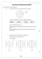 Ions, Atoms and Isotopes | Teaching Resources