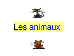 VISUAL FRENCH DICTIONARY | Teaching Resources