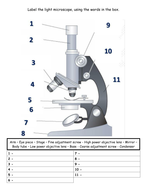 AQA TRILOGY MICROSCOPES | Teaching Resources