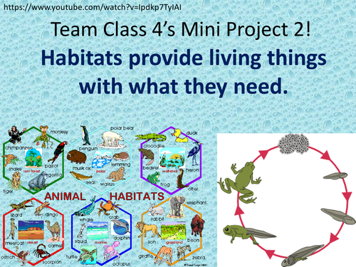 Science- Habitats Lower Key Stage 2! | Teaching Resources