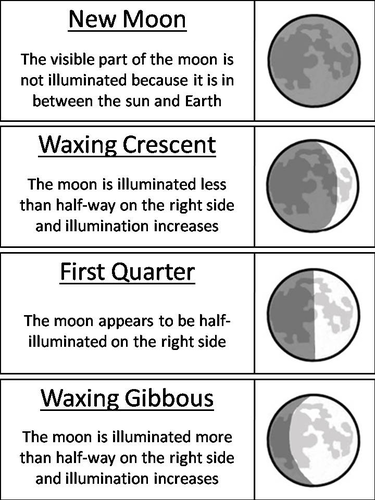 Moon Phases Word Wall Cards | Teaching Resources