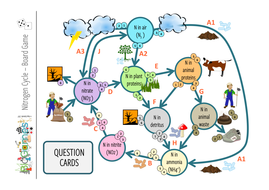 Nitrogen Cycle - Board game (KS4) by anjacschmidt - Teaching Resources ...