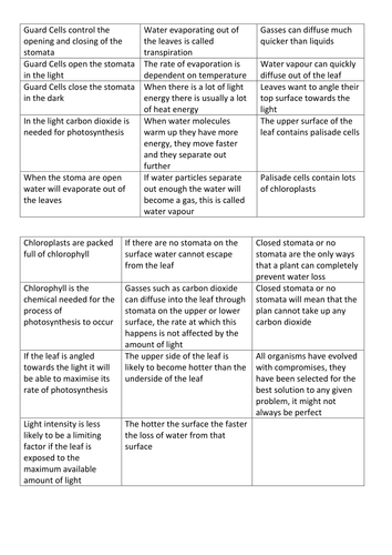 Plant Tissues and Organs - NEW AQA GCSE Spec | Teaching Resources