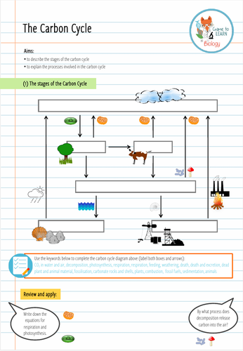 Carbon Cycle - Worksheet (KS3/4) | Teaching Resources