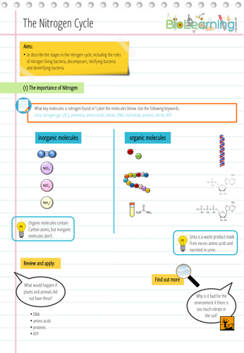 Worksheet Nitrogen Cycle Editable Tpt