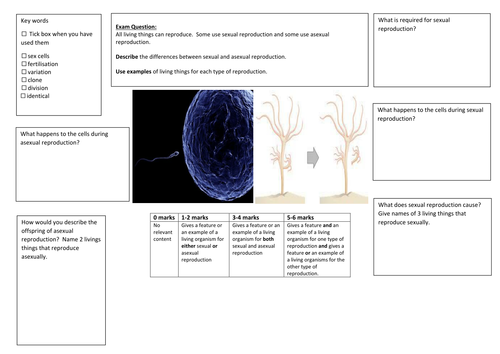 New AQA (9-1) GCSE Biology IVE: Types of Reproduction (4.6.1.1 ...