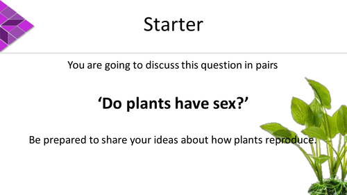 New Aqa 9 1 Gcse Biology Ive Advantagesanddisadvantages Of Sexual