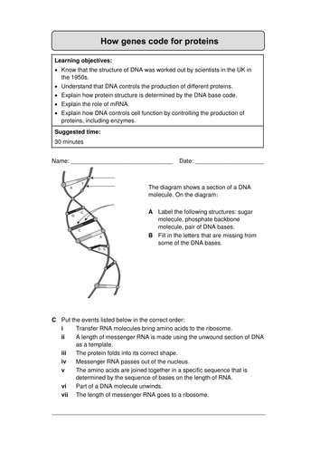 New AQA (9-1) GCSE Biology IVE: DNA, Protein Synthesis, and Mutation (4 ...
