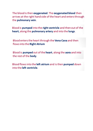 Heart/ Circulatory system. GCSE PE (1-9) | Teaching Resources