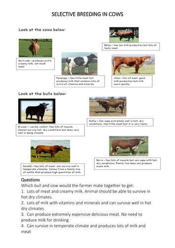 New AQA (9-1) GCSE Biology IVE:Selective Breeding (4.6.2.3 ) | Teaching ...