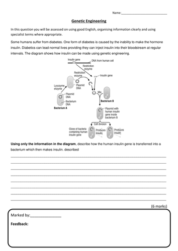 New AQA (9-1) GCSE Biology IVE:Genetic Engineering (4.6.2.4) | Teaching ...