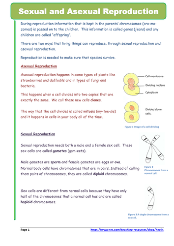 B13.1 Sexual and Asexual Reproduction SEN / Literacy / Lower foundation ...