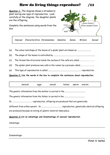 B13.1 Sexual and Asexual Reproduction SEN / Literacy / Lower foundation ...