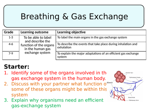 NEW AQA Trilogy GCSE (2016) Biology - Breathing & Gas Exchange ...