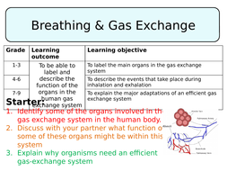 NEW AQA Trilogy GCSE (2016) Biology - Breathing & Gas Exchange ...