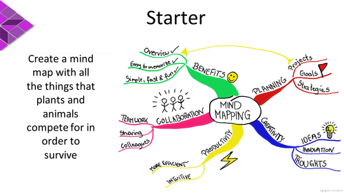 New AQA (9-1) GCSE Biology Ecology:Organisms, Their Environment and ...