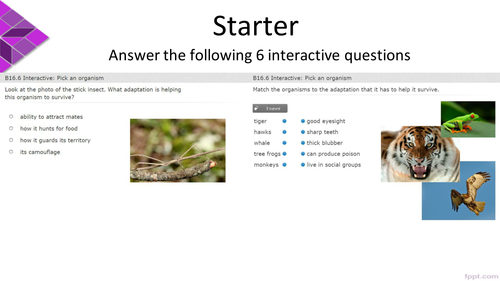 New AQA (9-1) GCSE Biology Ecology - Adaptations, Interdependence and ...