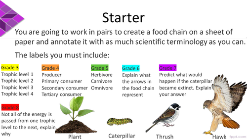 New AQA (9-1) GCSE Biology Ecology - Organisation of an Ecosystem (4.7. ...