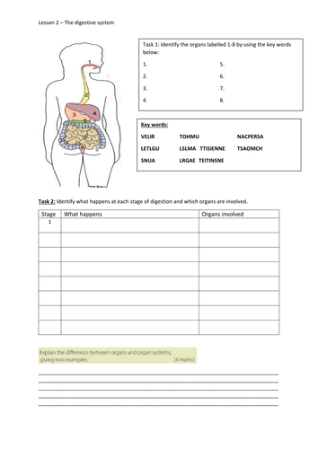 ***GCSE NEW SPEC*** B3 BUNDLE - Organisation and digestion | Teaching ...