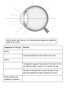 The Eye (Biology Only) - New AQA Biology GCSE | Teaching Resources