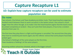 Capture Recapture Snail Investigation | Teaching Resources