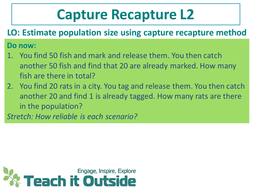 Capture Recapture Snail Investigation | Teaching Resources