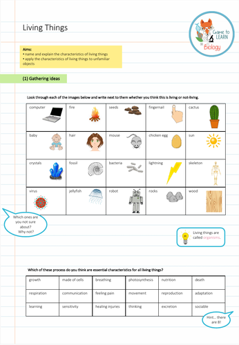 Mrs Gren - Living or non-living? - Worksheet (KS2/3) | Teaching Resources