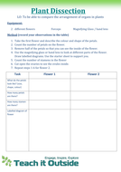 Parts of a flower and Plant Dissection KS3 | Teaching Resources