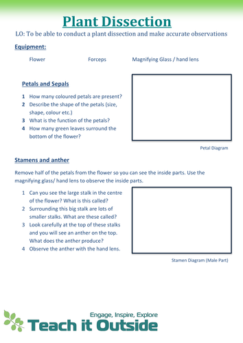 Parts of a flower and Plant Dissection KS3 | Teaching Resources