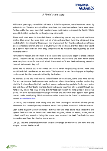 A story of Evolution - A Finch's Tale (Galapagos Study) | Teaching ...