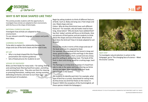 Investigating Adaptation of Birds’ Beaks (Galapagos study) | Teaching ...