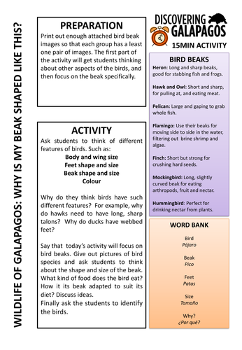 Investigating Adaptation of Birds’ Beaks (Galapagos study) | Teaching ...