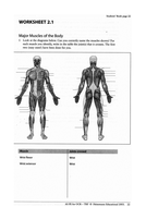 AS OCR PE Anatomy & Physiology Bones, Muscles, Joints, Movements ...