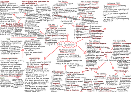 Constitution Mindmaps | Teaching Resources