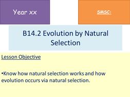 Evolution by Natural Selection - AQA GCSE (4.6.2) (B14.2) | Teaching ...