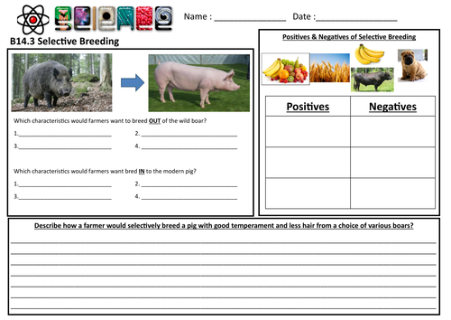 Selective Breeding - AQA GCSE (4.6.2) (B14.3) | Teaching Resources